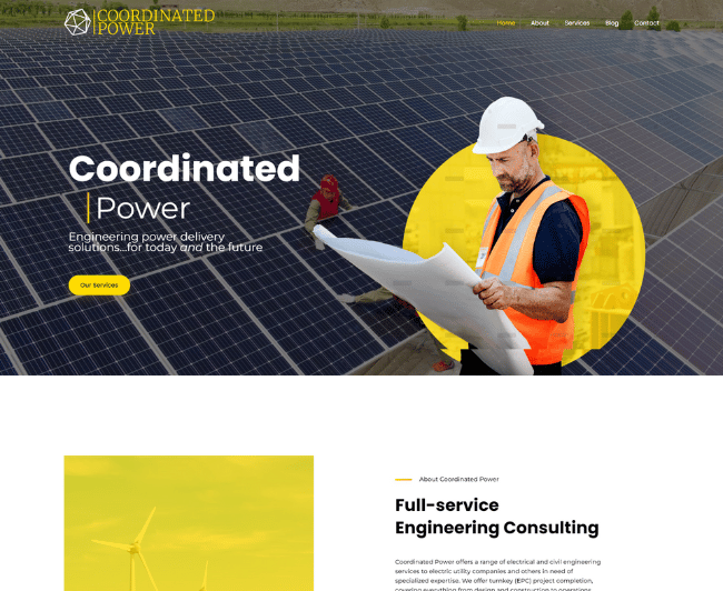 Web Design - Synergetic Digital Brands Team